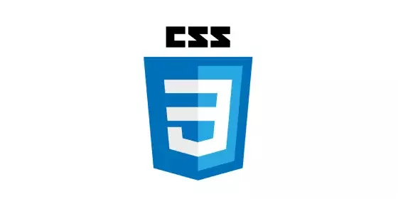 CMS Training - Webbrains Tech